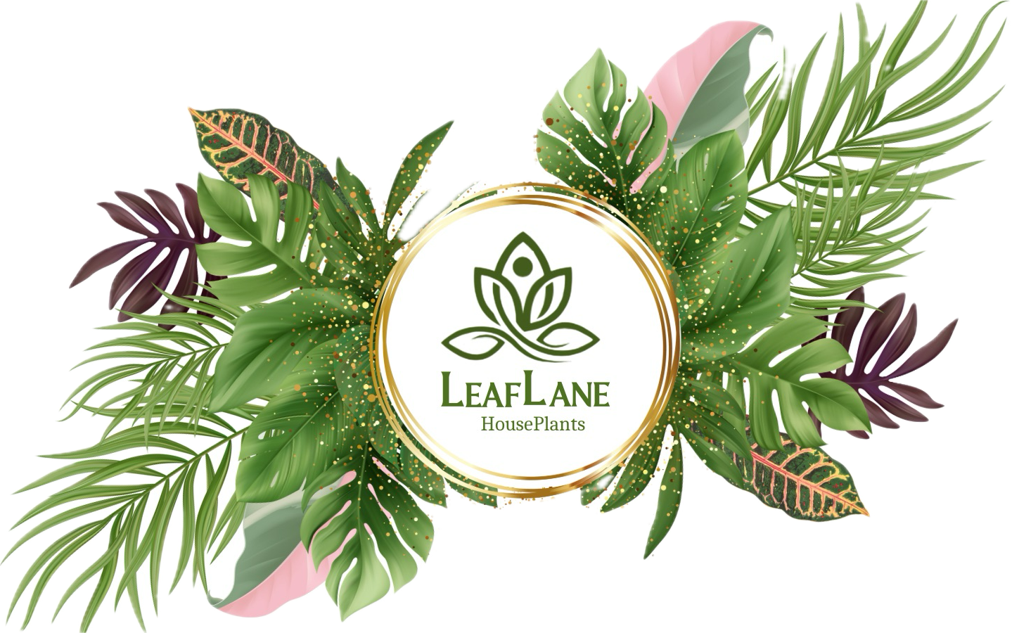 LeafLane Rare Plants